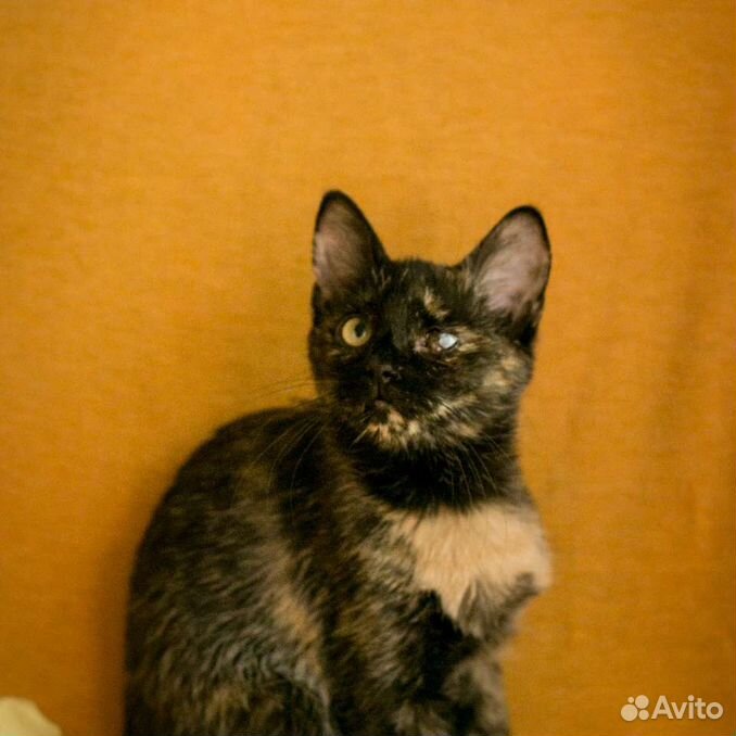 Очень нежная девочка