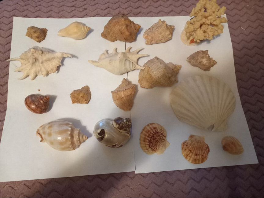 Декор для аквариума