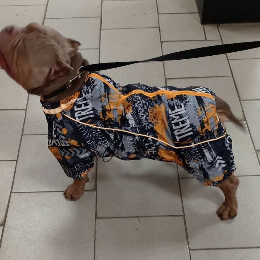 Комбинезон на флисе (мальчик)