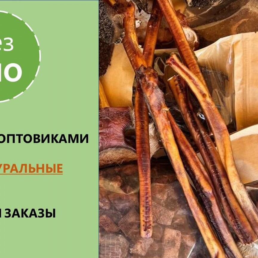 Сушенный корм для собак
