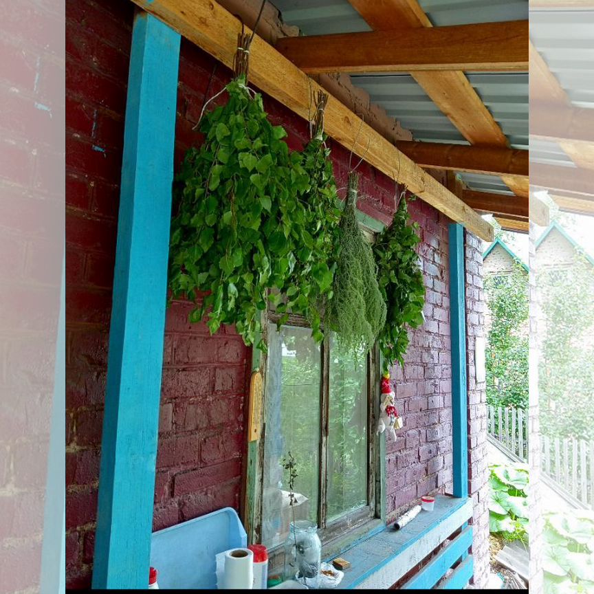 Травы и коренья, подкормки для грызунов