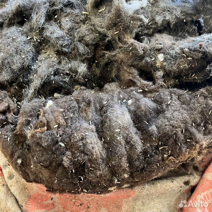 Шерсть овечья