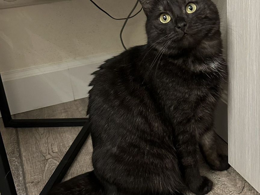 Гаечка 2 года