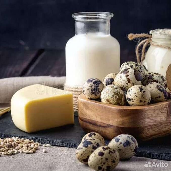 Сыр, молоко козье, перепела