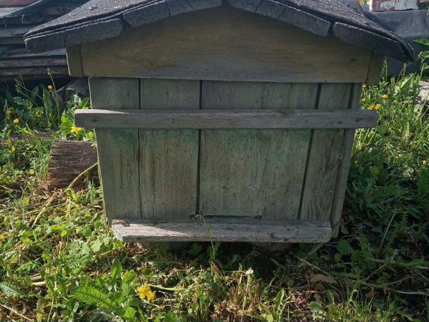 Продам Ульи