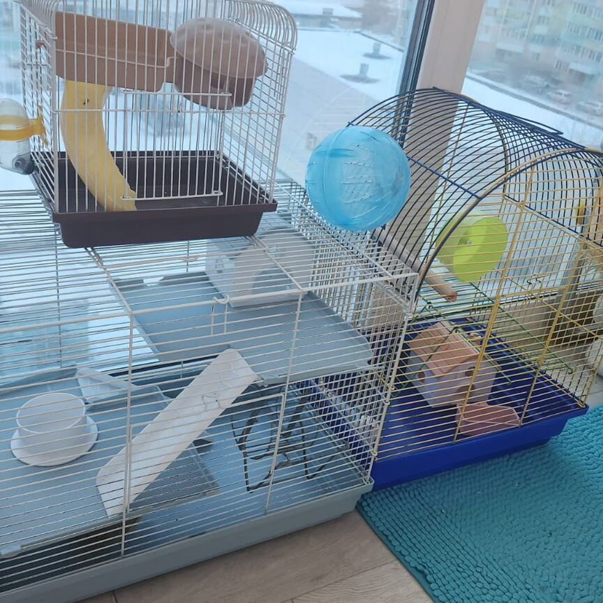 Клетка для грызунов бу