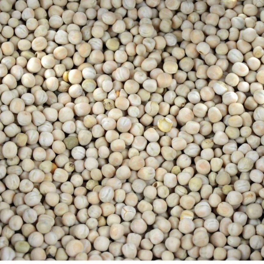 Горох фуражный