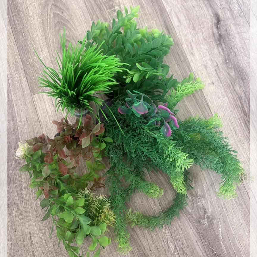 Искусивенные растения для аквариума