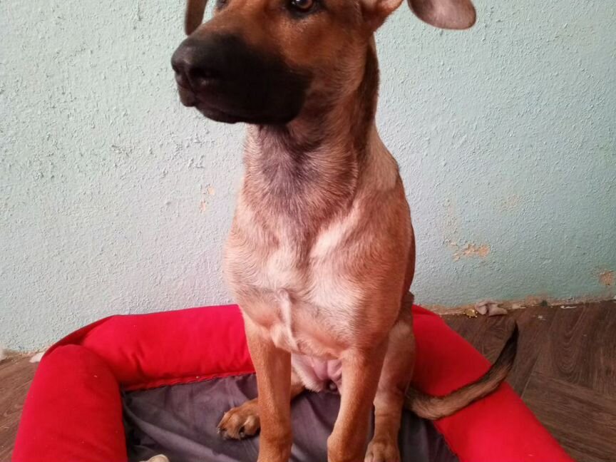 Деловая дворовая