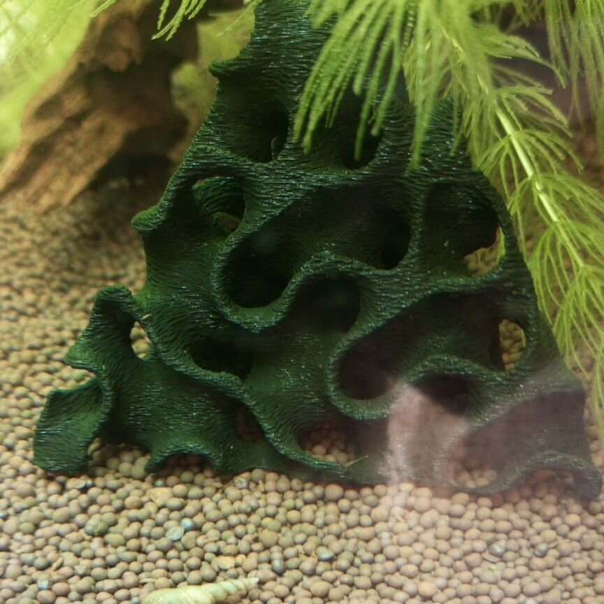 Улитки мелании