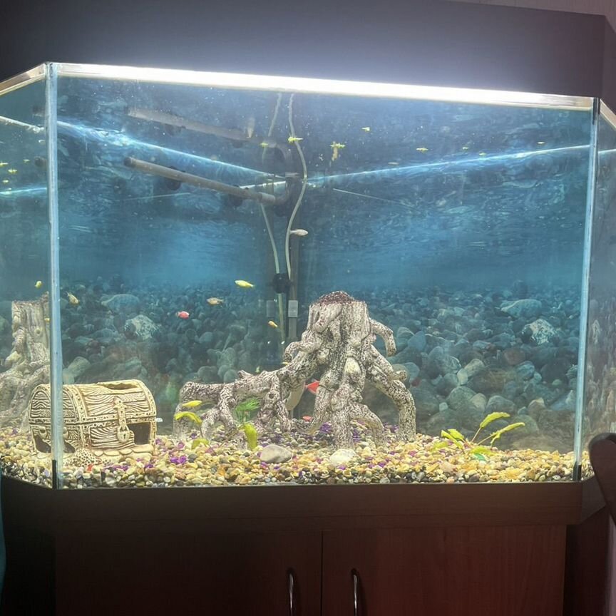 Аквариум с рыбками и тумбой