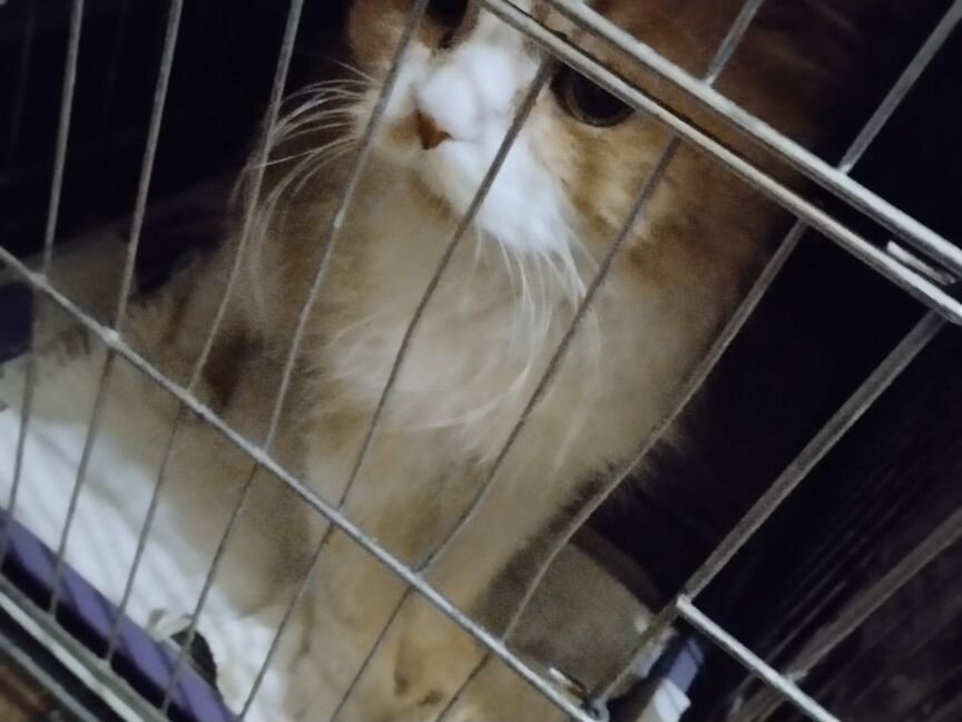 Так выглядит предательство