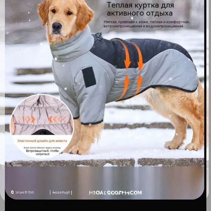 Одежда для крупных собак