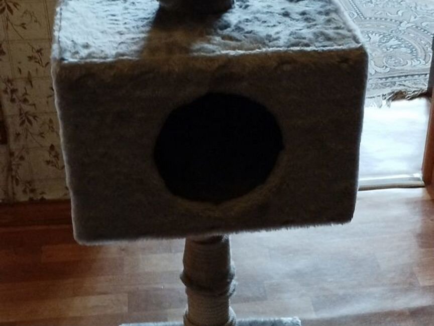 Кошачий домик