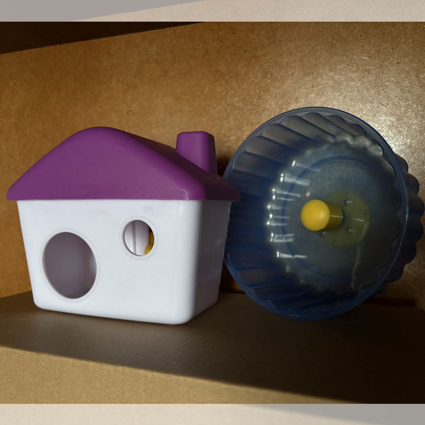 Домик и колесо для грызунов