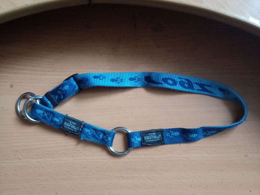 Ошейник удавка