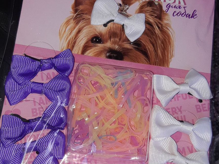 Аксессуары для собаки