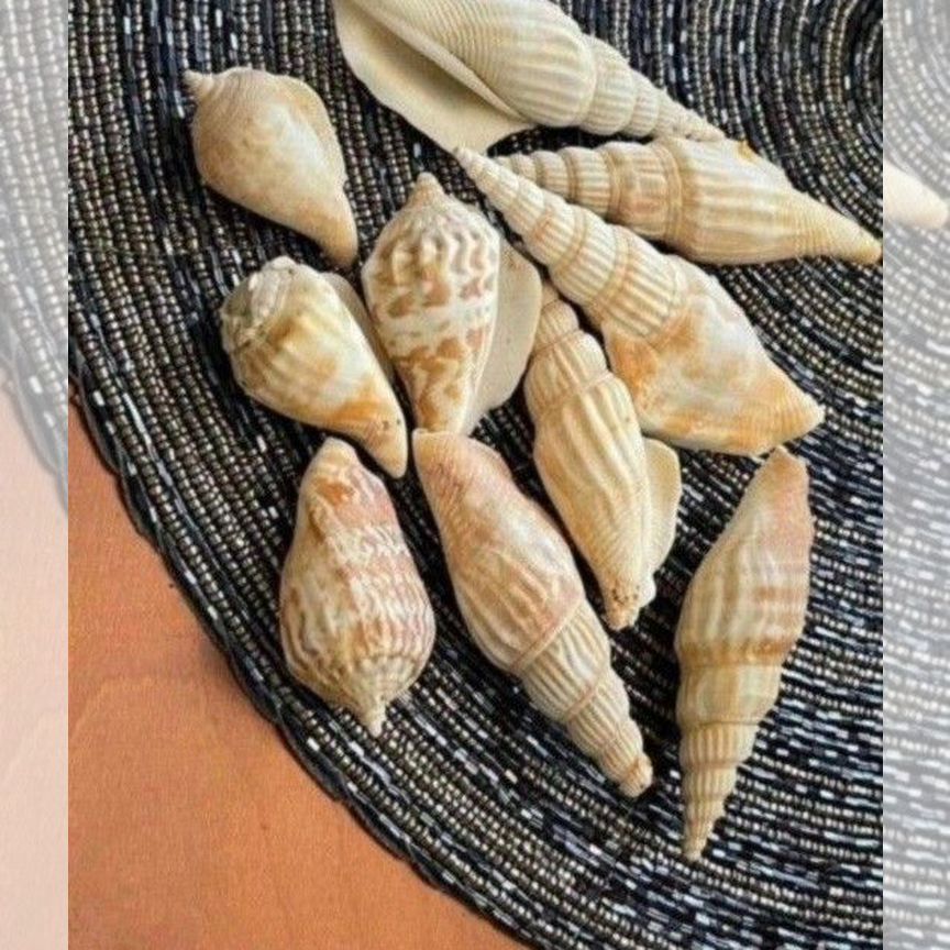 Ракушки для творчества аквариума