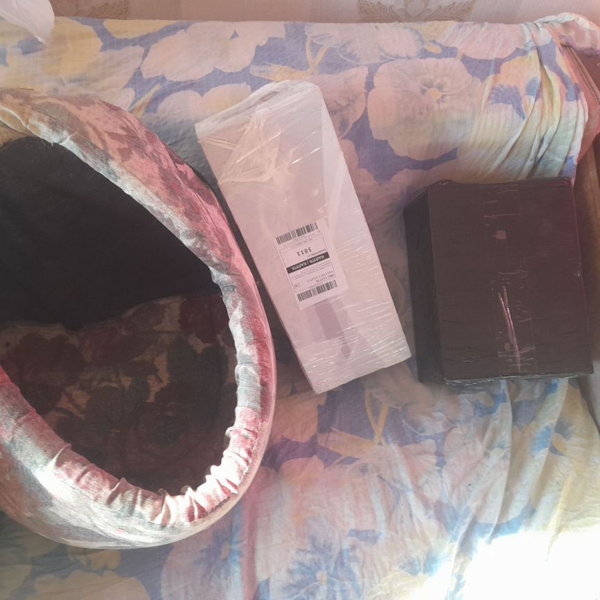 Остатки корма для кота и домик