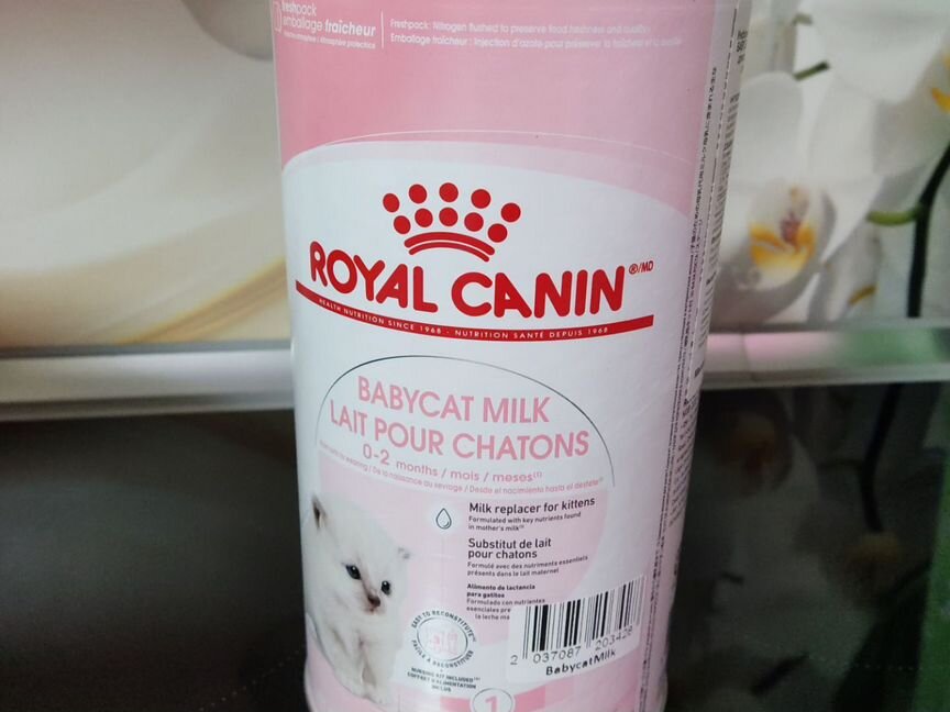 Молочная смесь для котят Royal Canin