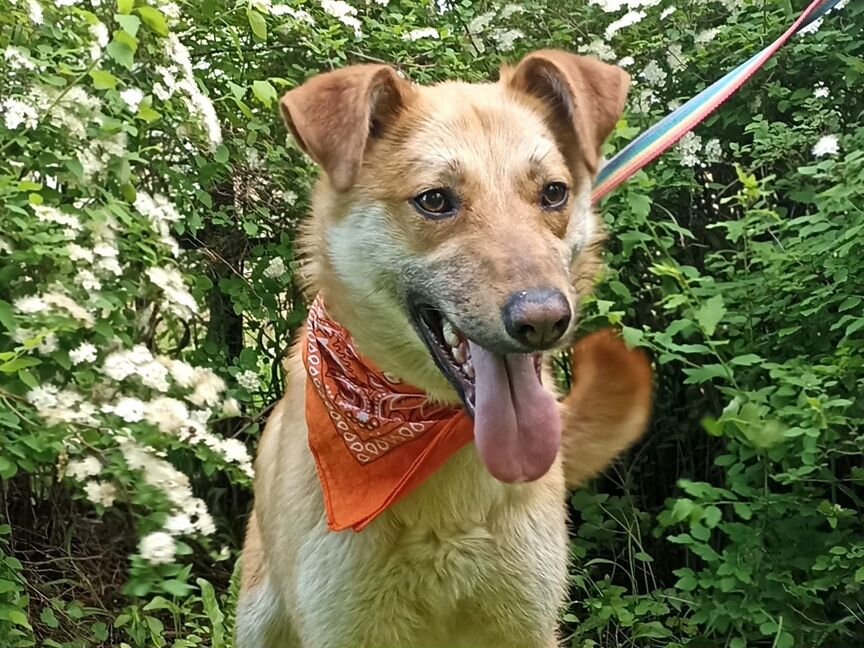 Тесса с изумительно красивыми глазками