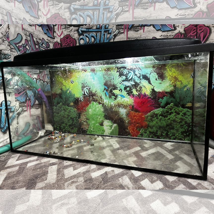 Аквариум (200л) с рыбами