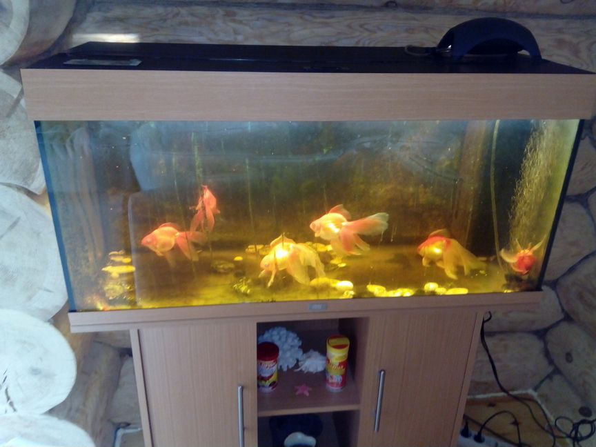 Аквариум с тумбой 180 литров juwel Германия