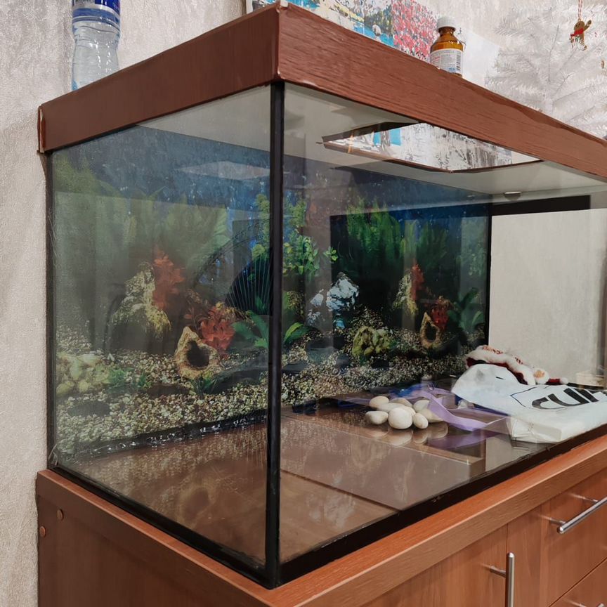 Аквариум 270 литров. Без тумбы