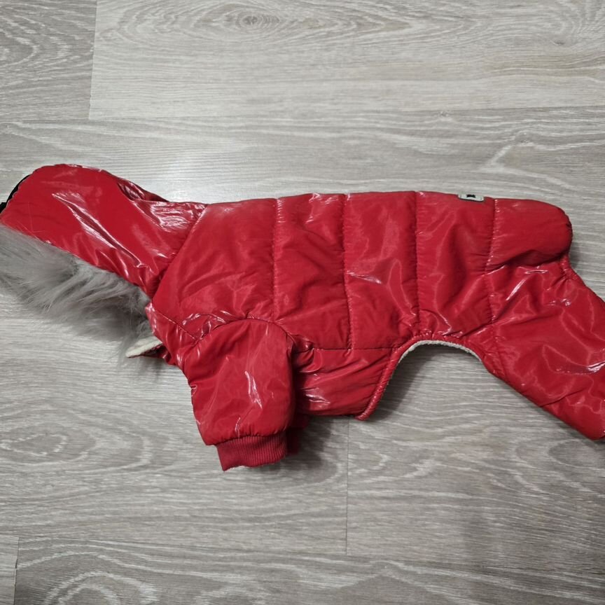 Зимняя одежда для собак мелких пород