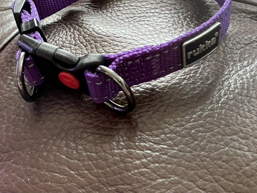 Ошейник rukka