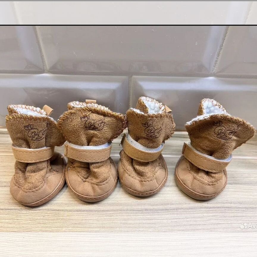 Ботинки для маленьких собак