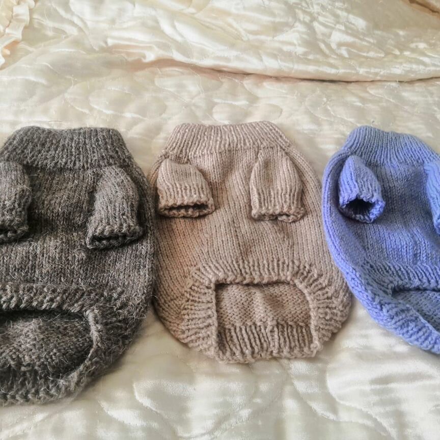 Одежда для собак мелких пород собак