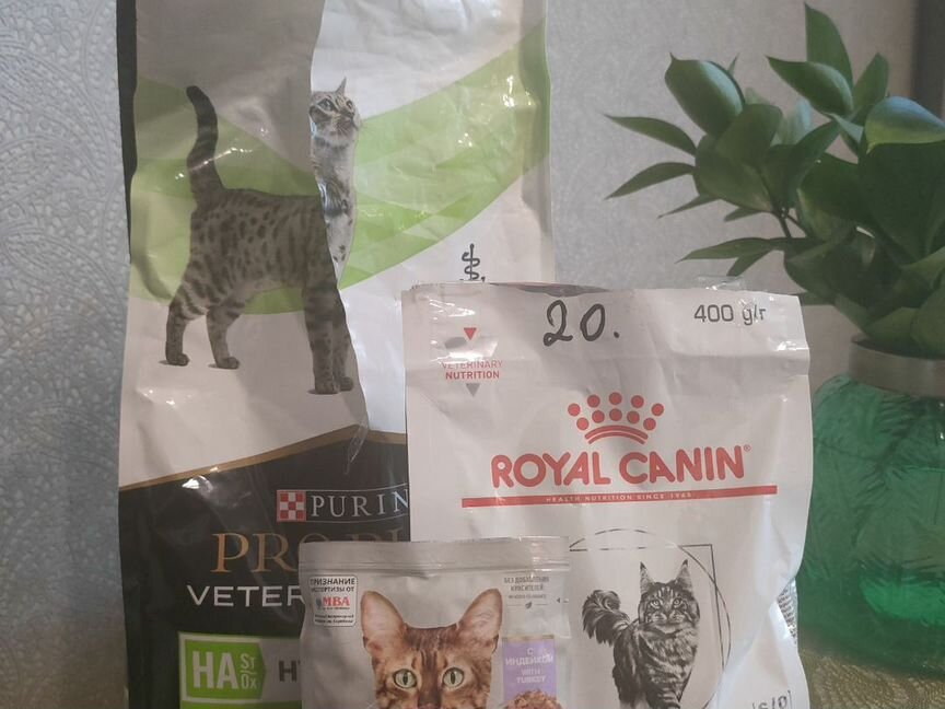 Сухой и влажный корм для кошек