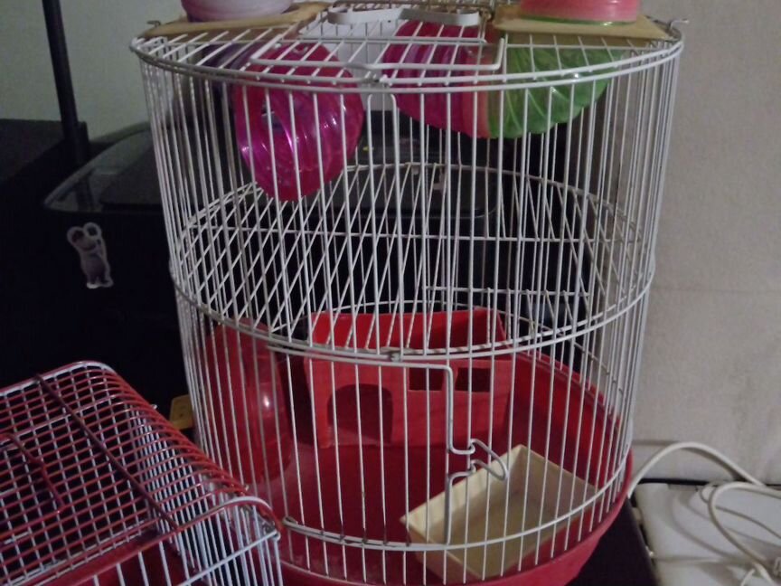 Клетки для хомяка с трубой бу