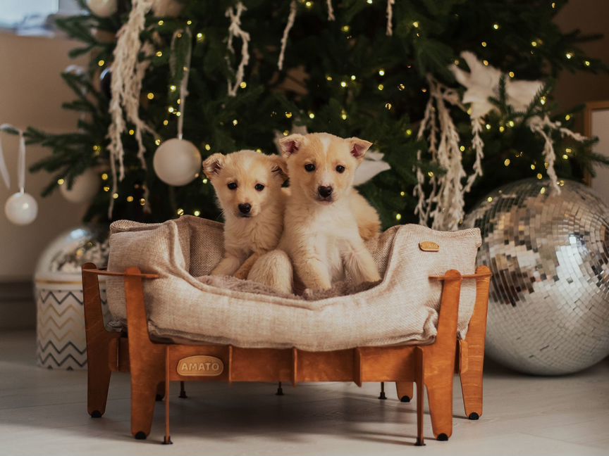 Лежанка для собак и кошек 60х50 см