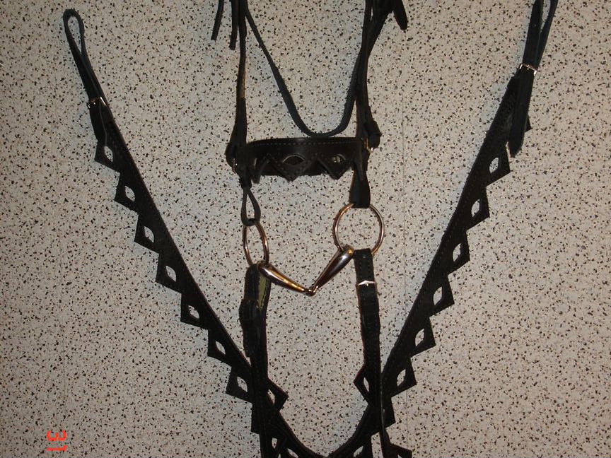 Уздечка для лошади