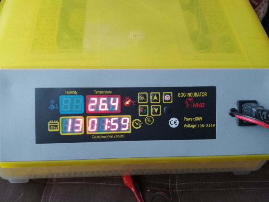 Инкубатор для яиц автоматический бу