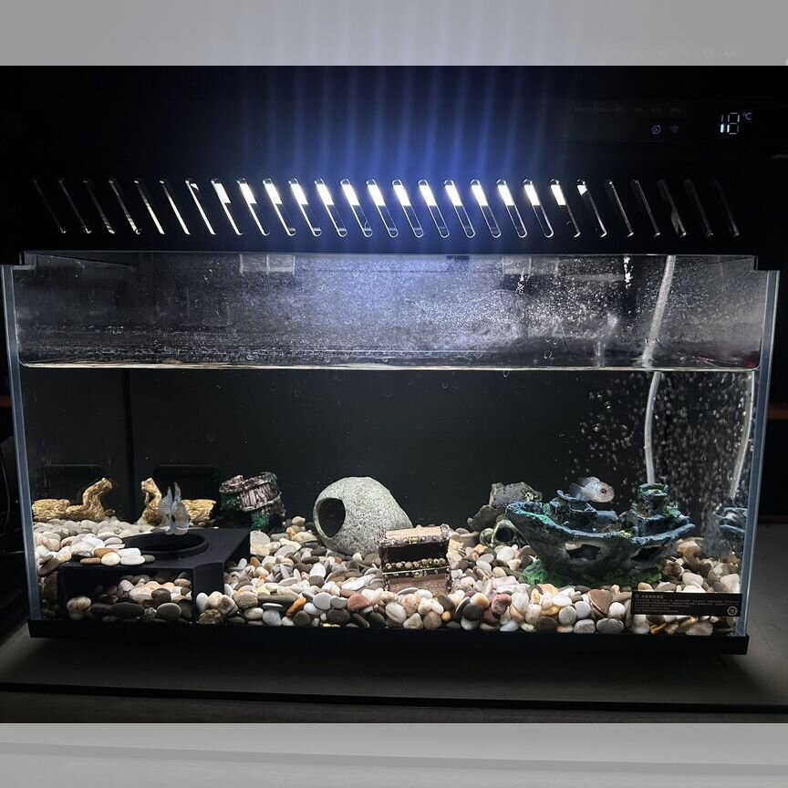 Умный аквариум xiaomi