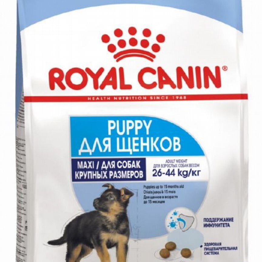 Royal canin Maxi Puppy