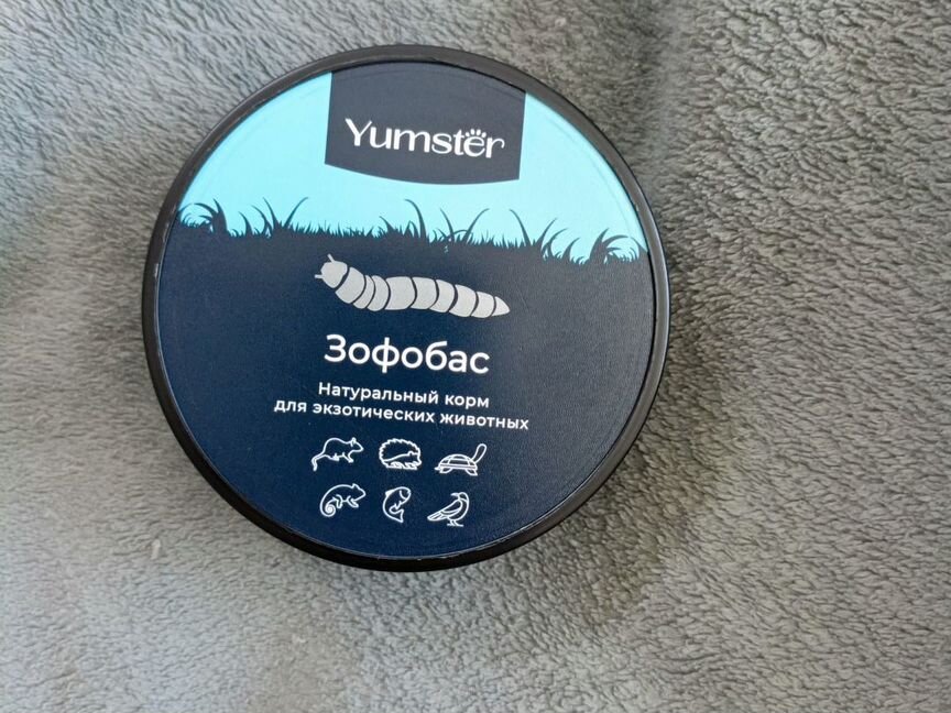 Зофобас консервированный
