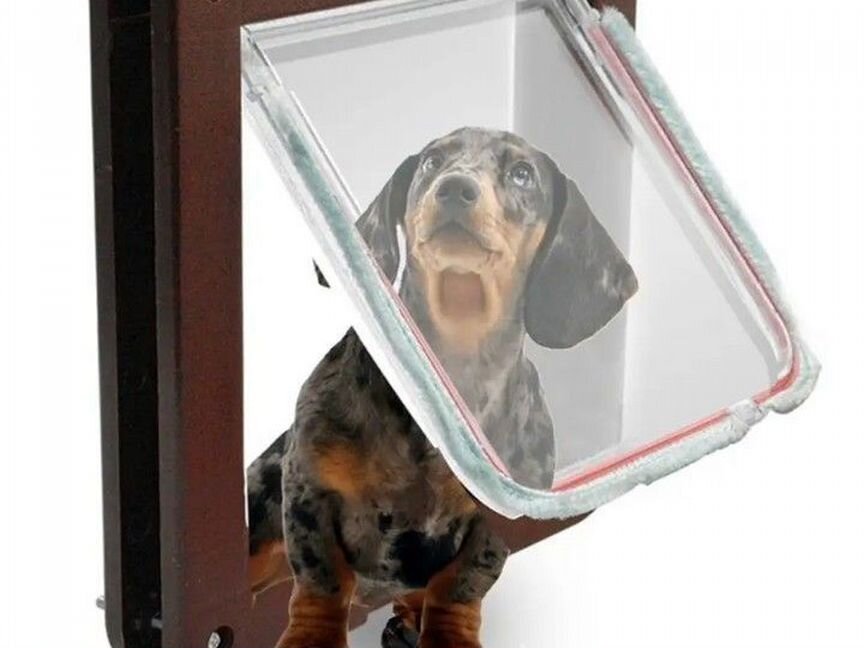 Дверца для кошки