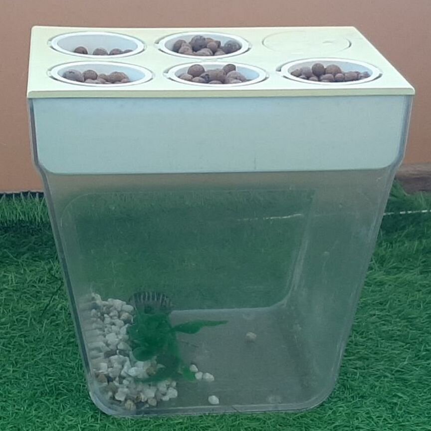 Аквариум мини