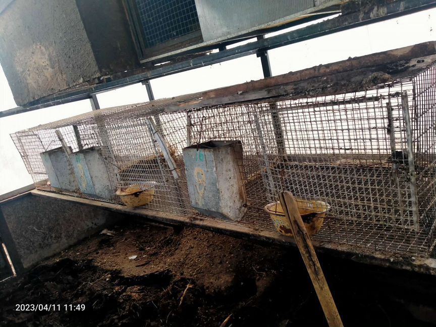 Клетка для кролика