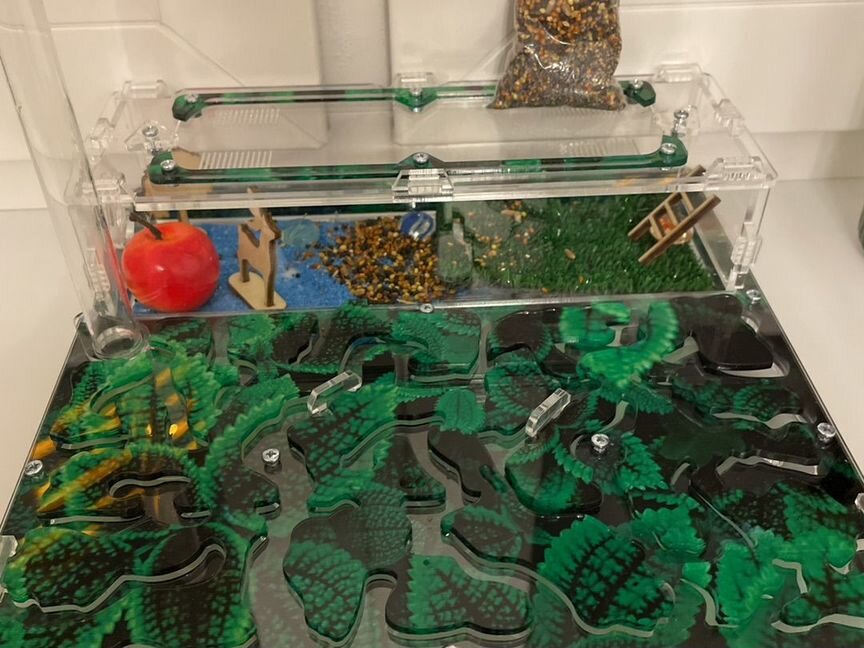 Муравьиная ферма