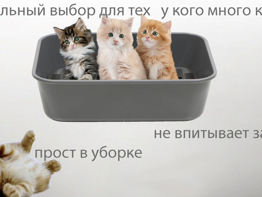 Туалеты -лотки для кошек по закупочной стоимости