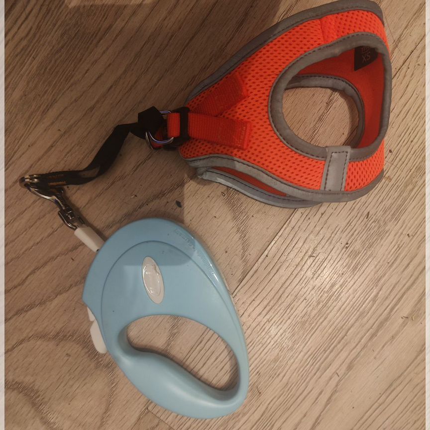 Шлейка м поводком