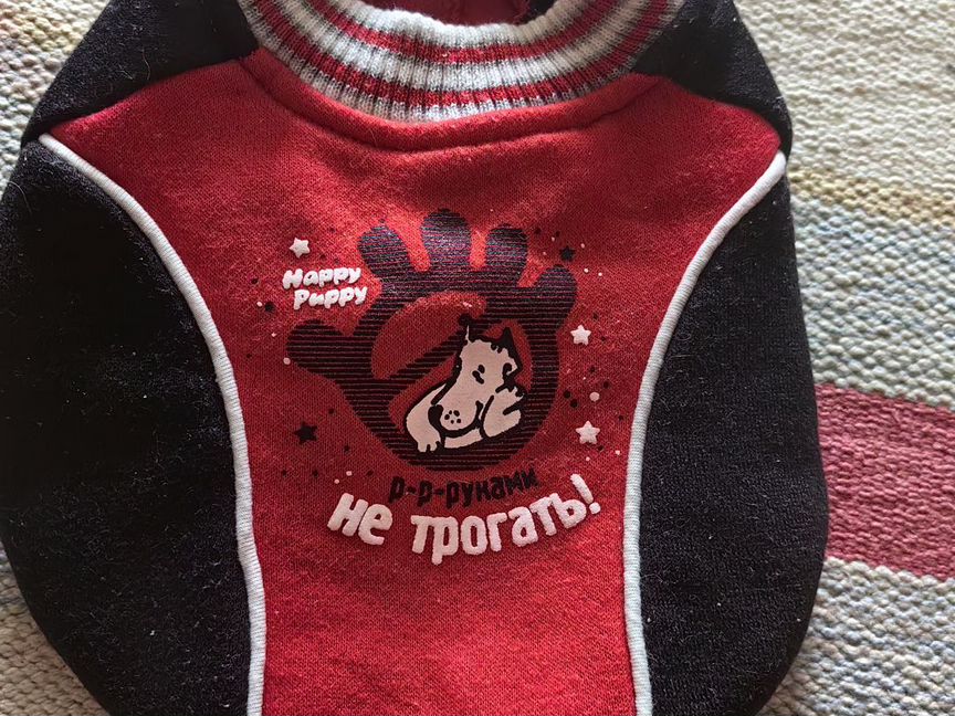 Одежда для маленьких собак