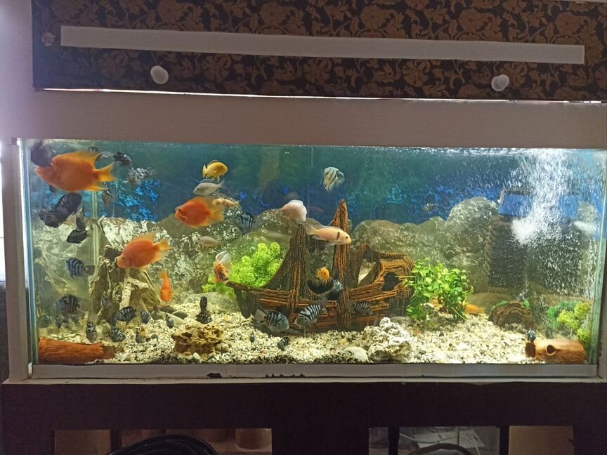 Аквариум 390л