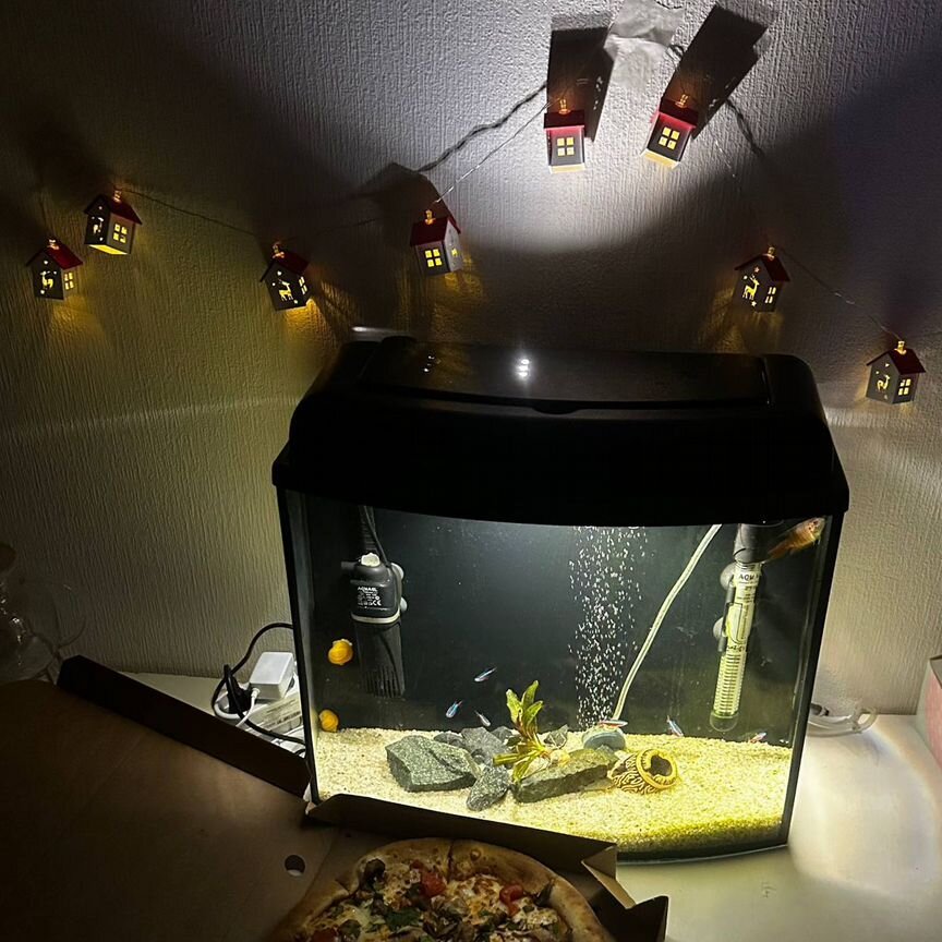 Аквариумные рыбки