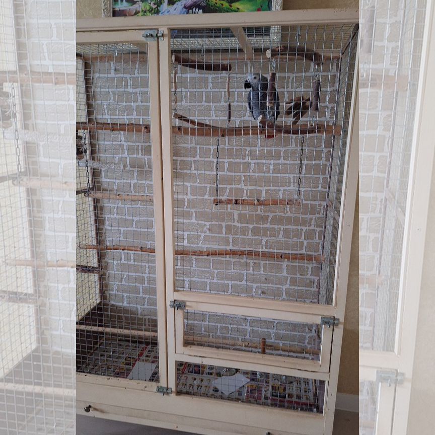 Вольер с попугаем